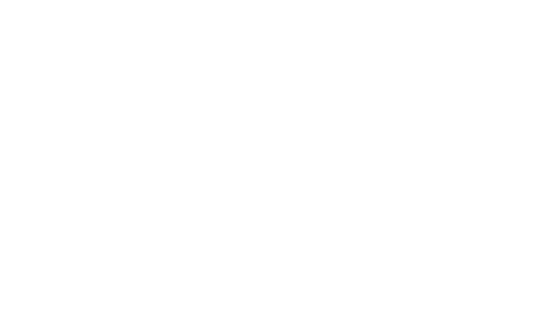 Civic Initiatives - Micheaux Film Festival